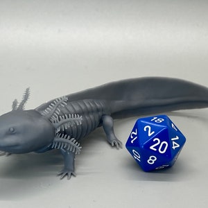 Axolotl / Tiny Beast / Dnd / 5e / Pathfinder / Animal Den Miniatures - Etsy
