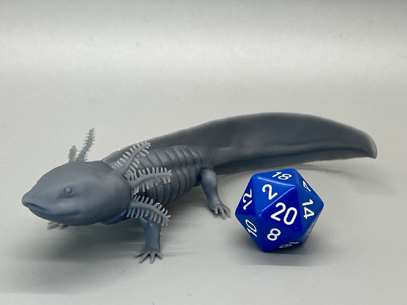 Axolotl / Tiny Beast / Dnd / 5e / Pathfinder / Animal Den - Etsy