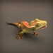 Crested Gecko / Tiny Beast / Dnd / 5e / Pathfinder / Animal Den ...