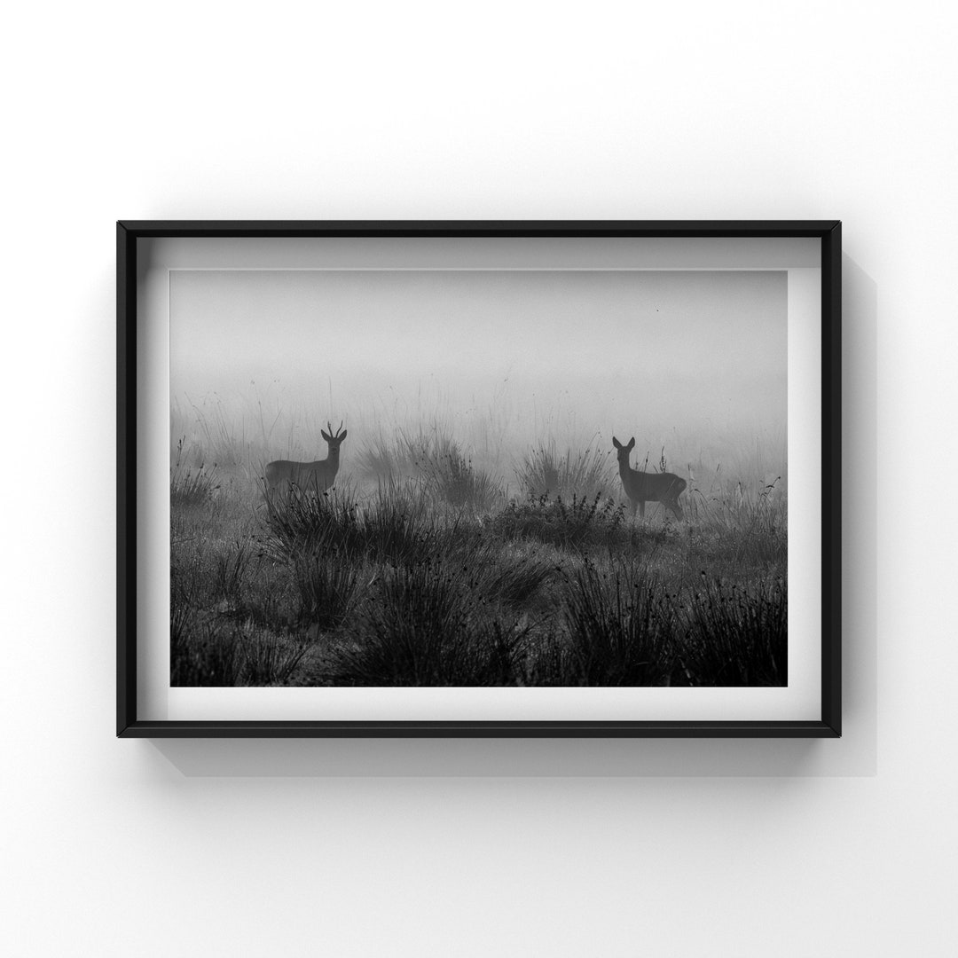 Symmetrical Print/poster/wall Art/home Decor - Etsy