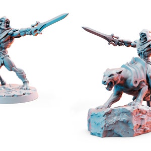 Skulldor & Catroar Aka NOT Skeletor and Panthor 32 Mm 28 Mm 54 Mm by ...