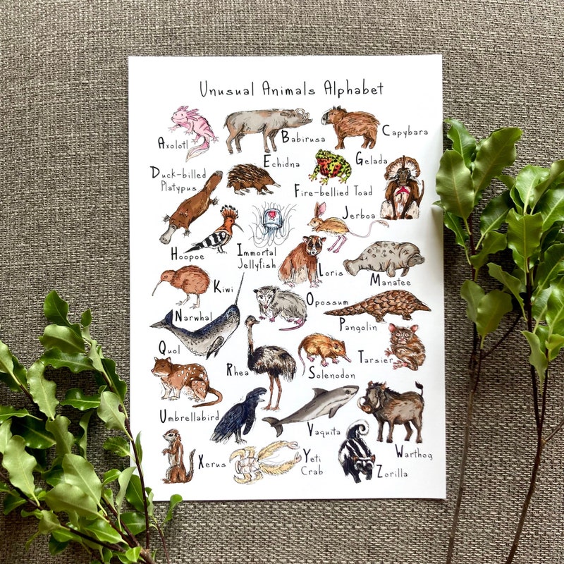 Endangered Animal Poster - Etsy UK