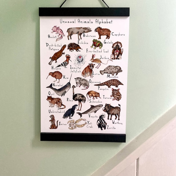 Scary Animals Alphabet