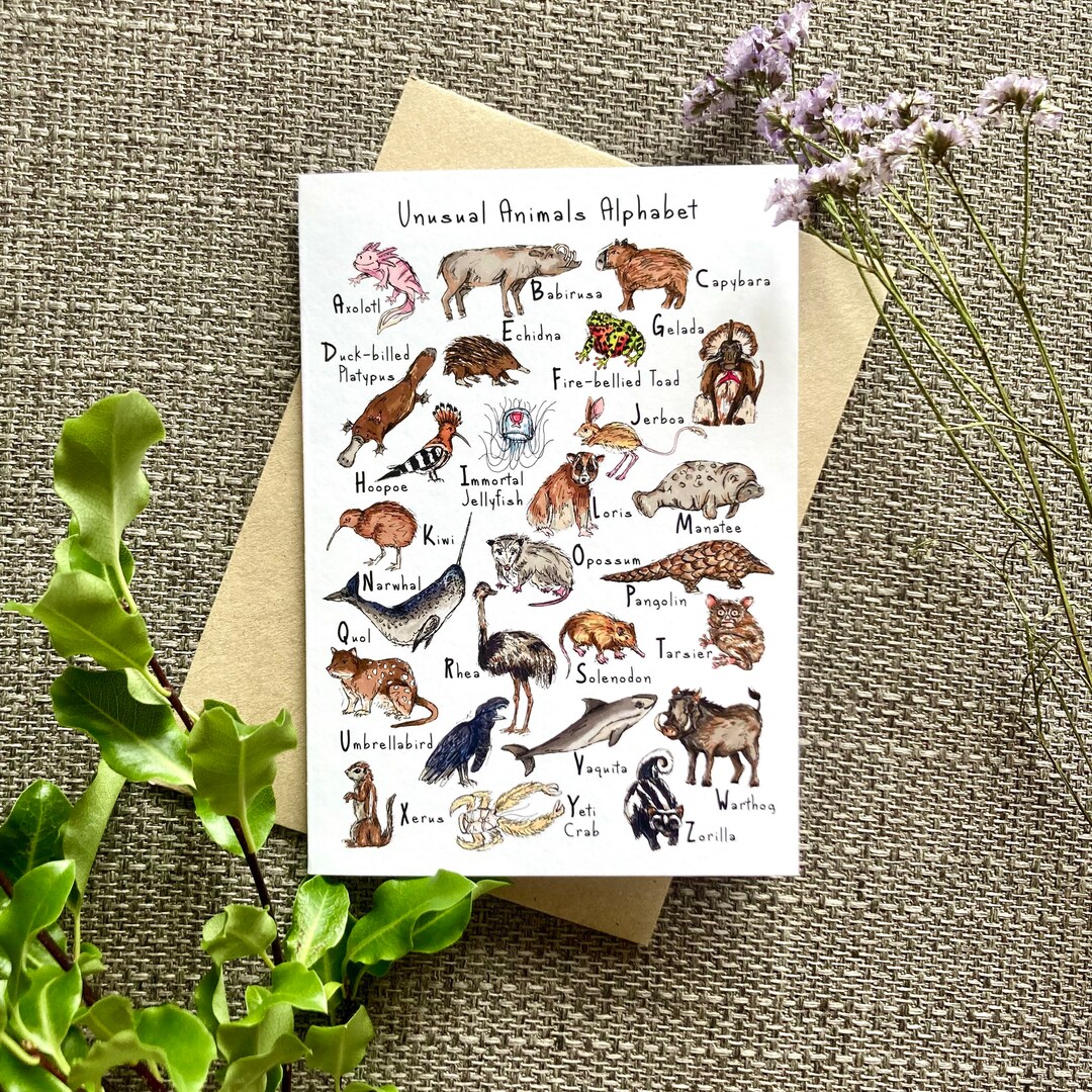 Unusual Animals Alphabet Card: Quirky Animals A6 Greetings Card - Etsy
