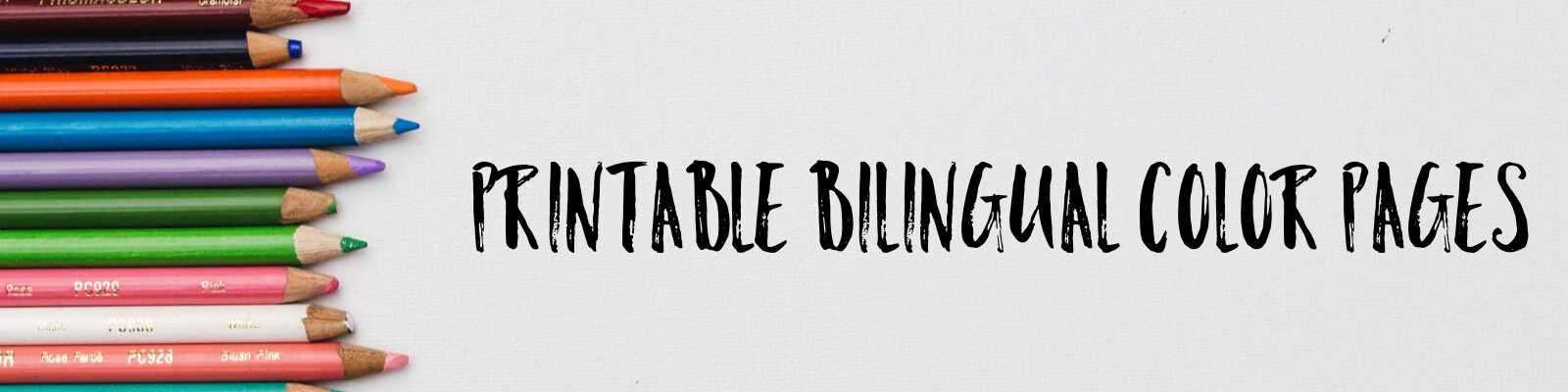 Printable Bilingual Spanish Colors Activity - Etsy