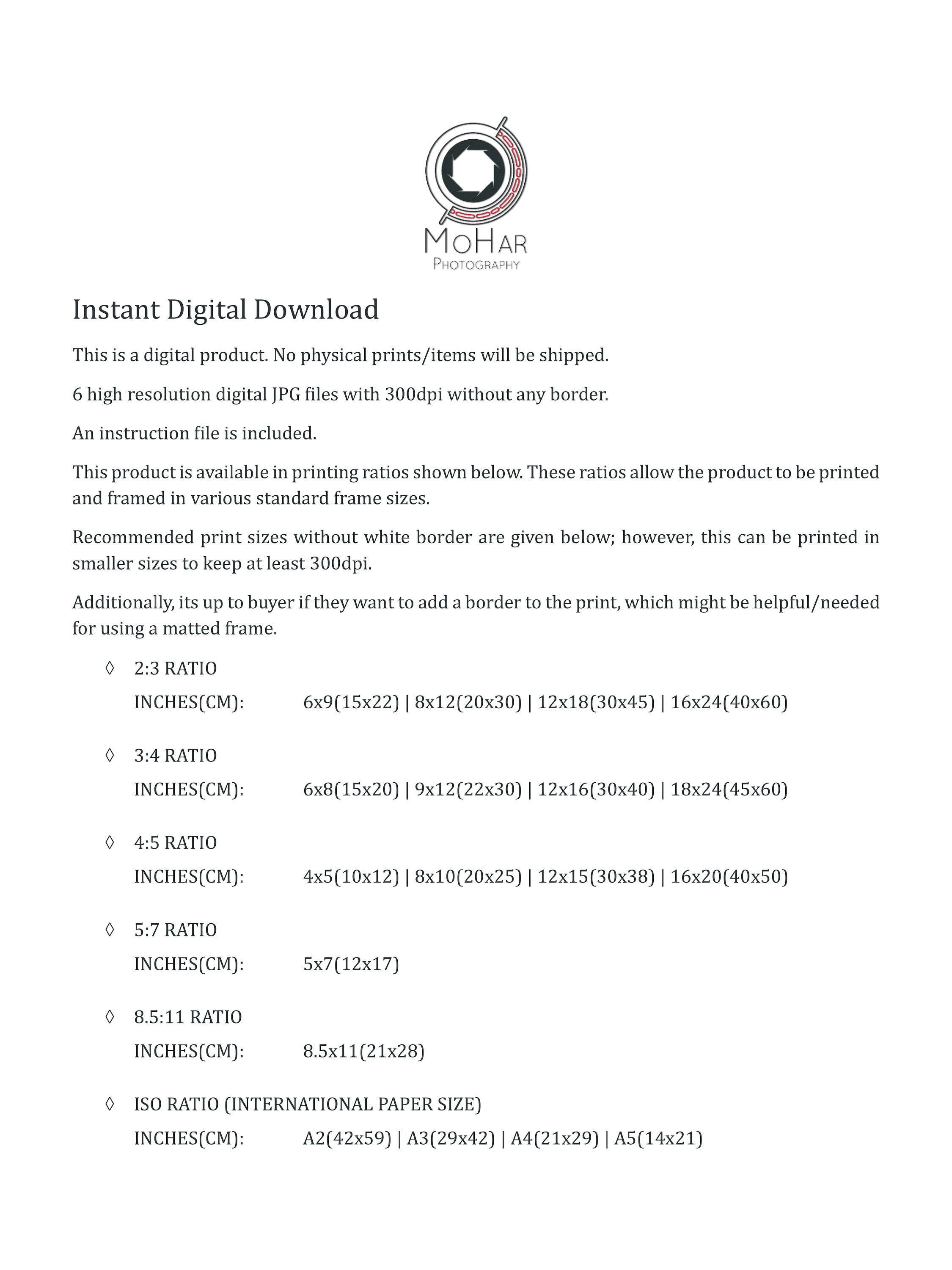 Boardwalk Printable, Marsh Boardwalk Printable, Park Boardwalk ...