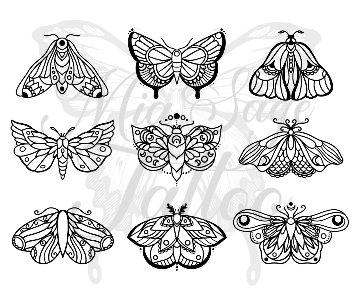 Moth Insect Temporary Tattoo Multipack Sheet Set of 9 / | Etsy