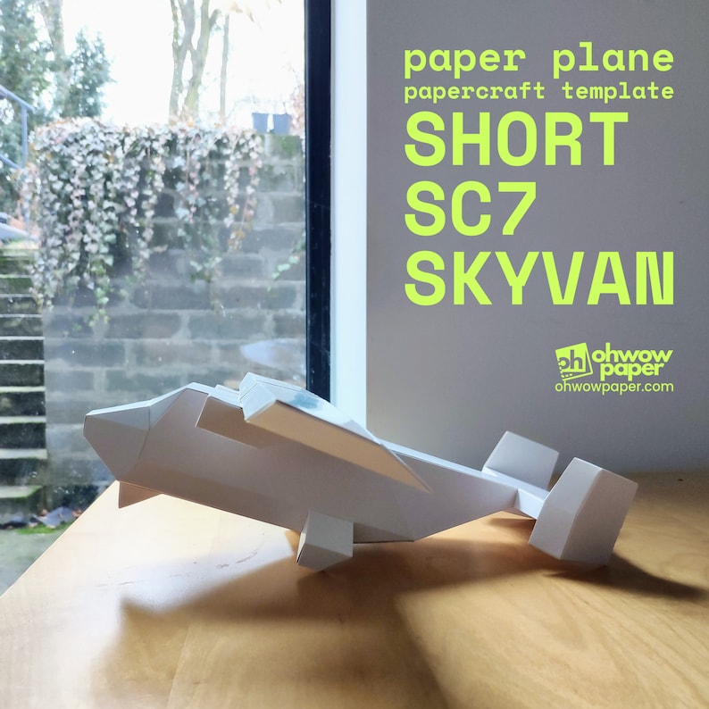 Airplane Papercraft Template. Build Low Poly, 3d Paper Airplane Model ...