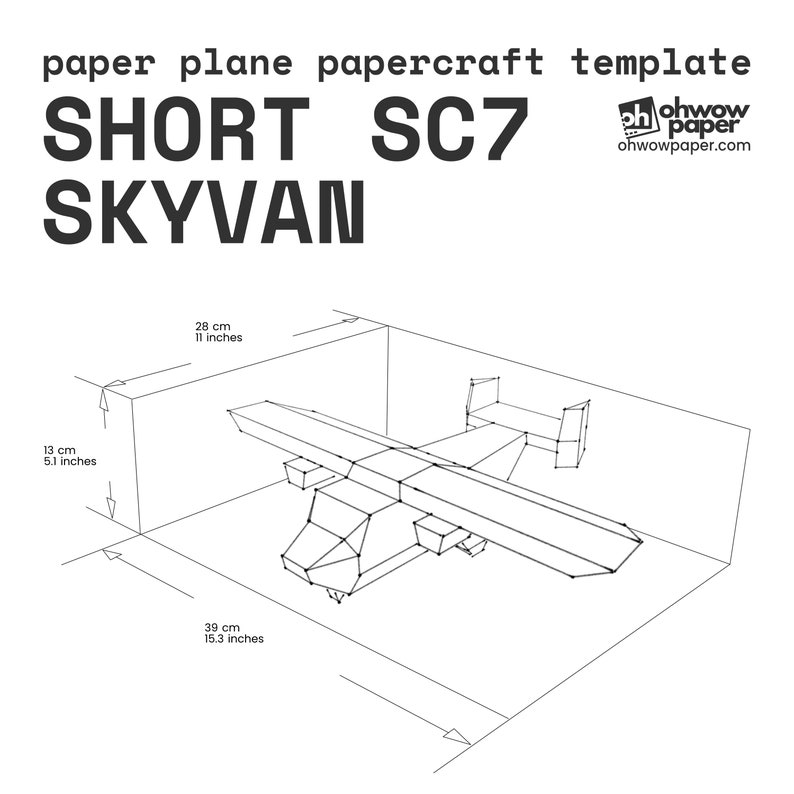 Airplane Papercraft Template. Build Low Poly, 3d Paper Airplane Model ...