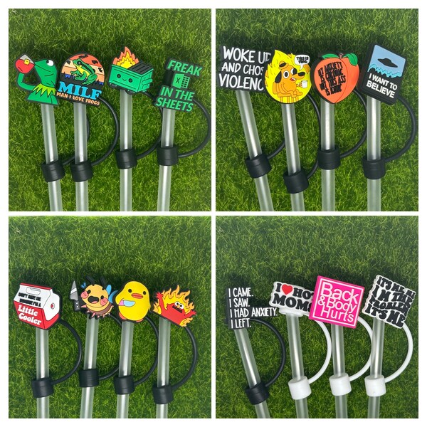 Funny Straw Toppers for Stanley Cups - Etsy