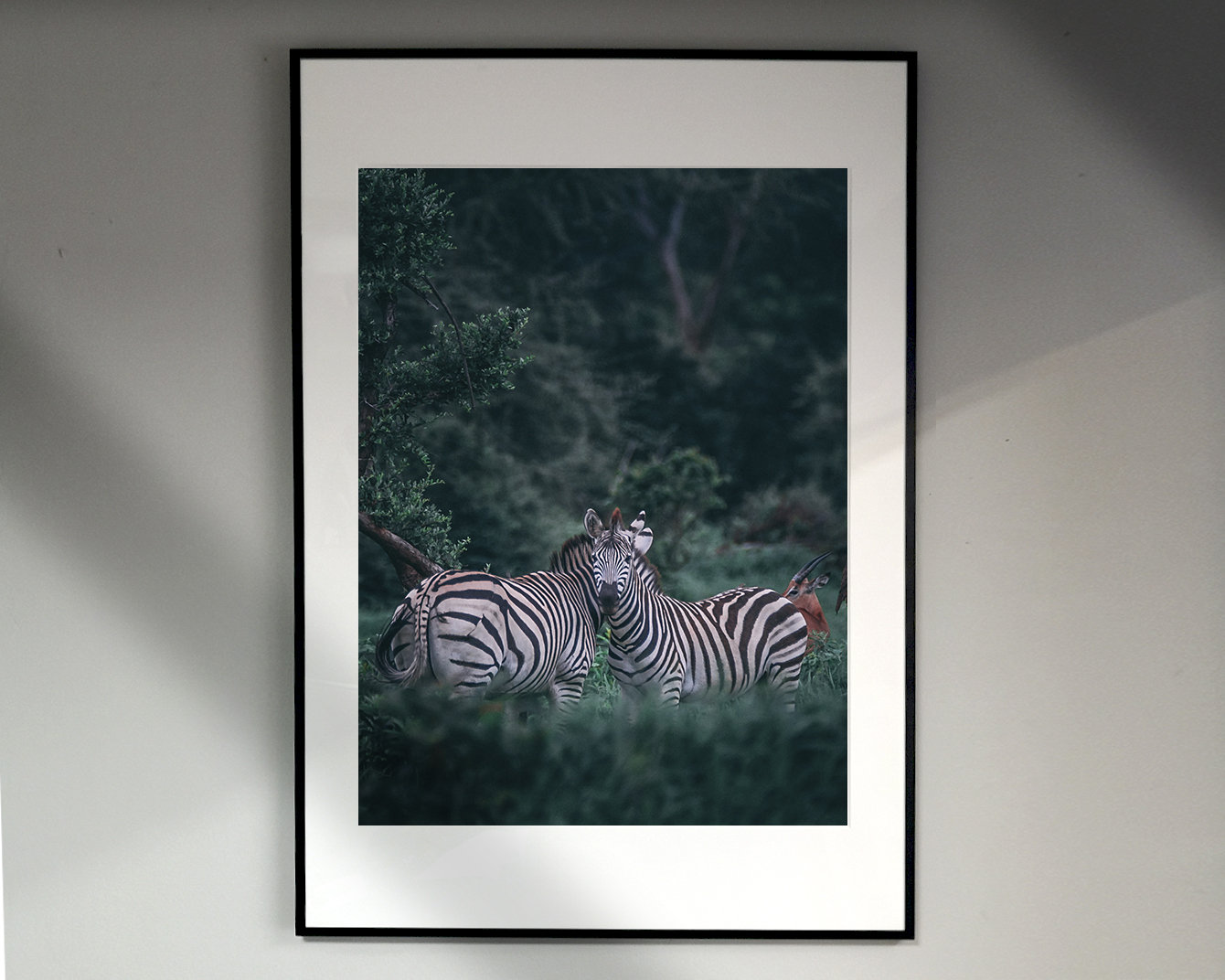 Wild Animals Set of 3 Posters, Lion, Elephant, Zebra Prints, Wild ...