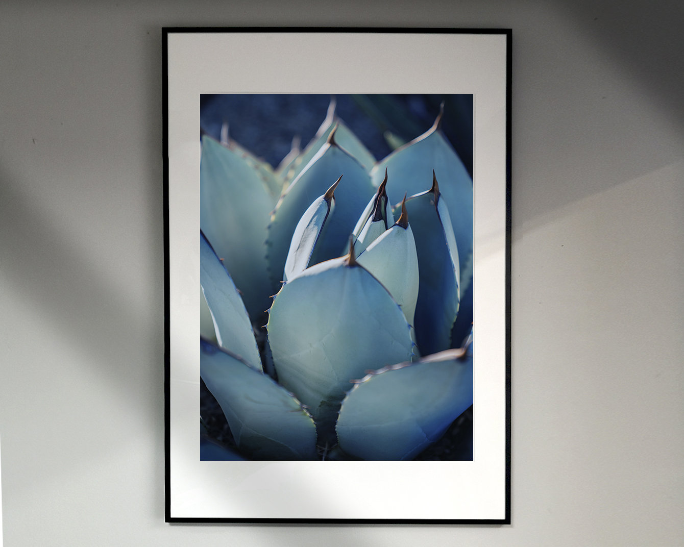 Cactus Set of 3 Posters, Cactus Photo, Modern Green Wall Decor, Cactus ...