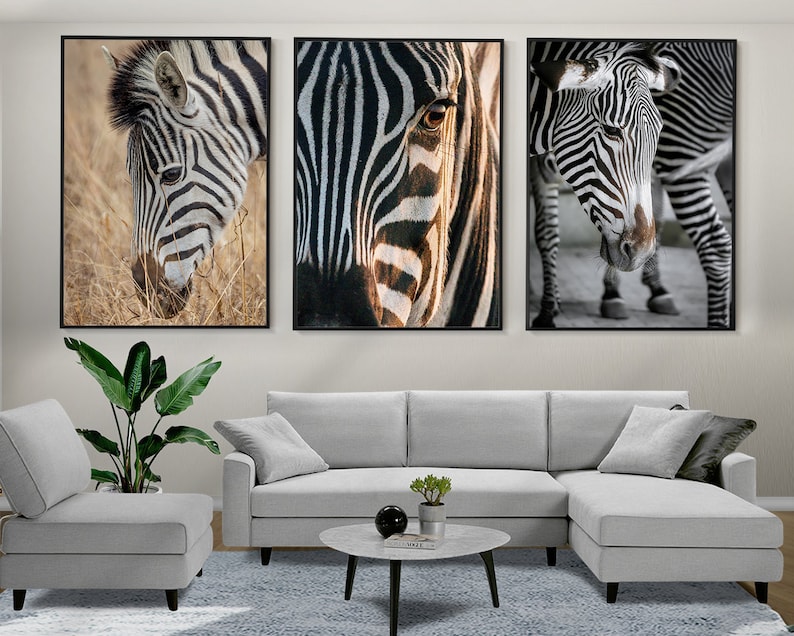 Zebra Set of 3 Posters, Zebras Photo, Zebra Prints, Animals Wall Art - Etsy