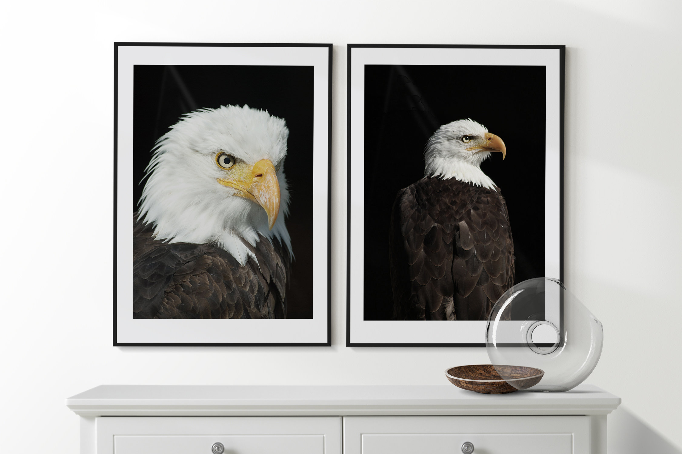 Bald Eagle of 2 Posters, Eagle Photo, Eagle Prints, Bird of Prey ...