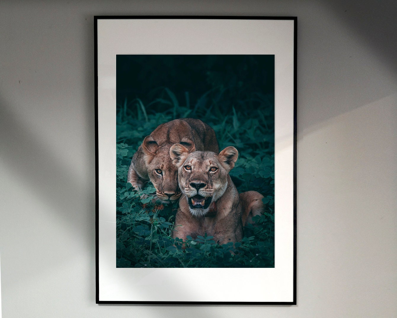 Wild Animals Set of 3 Posters, Lion, Elephant, Zebra Prints, Wild ...