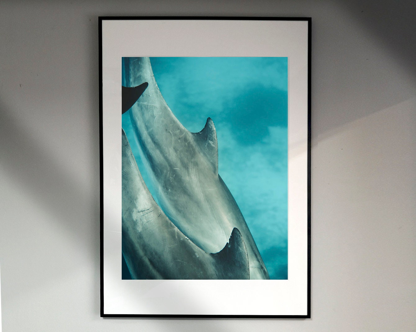 Dolphins Set of 3 Posters, Underwater Wall Art, Dolphins Prints, Framed ...