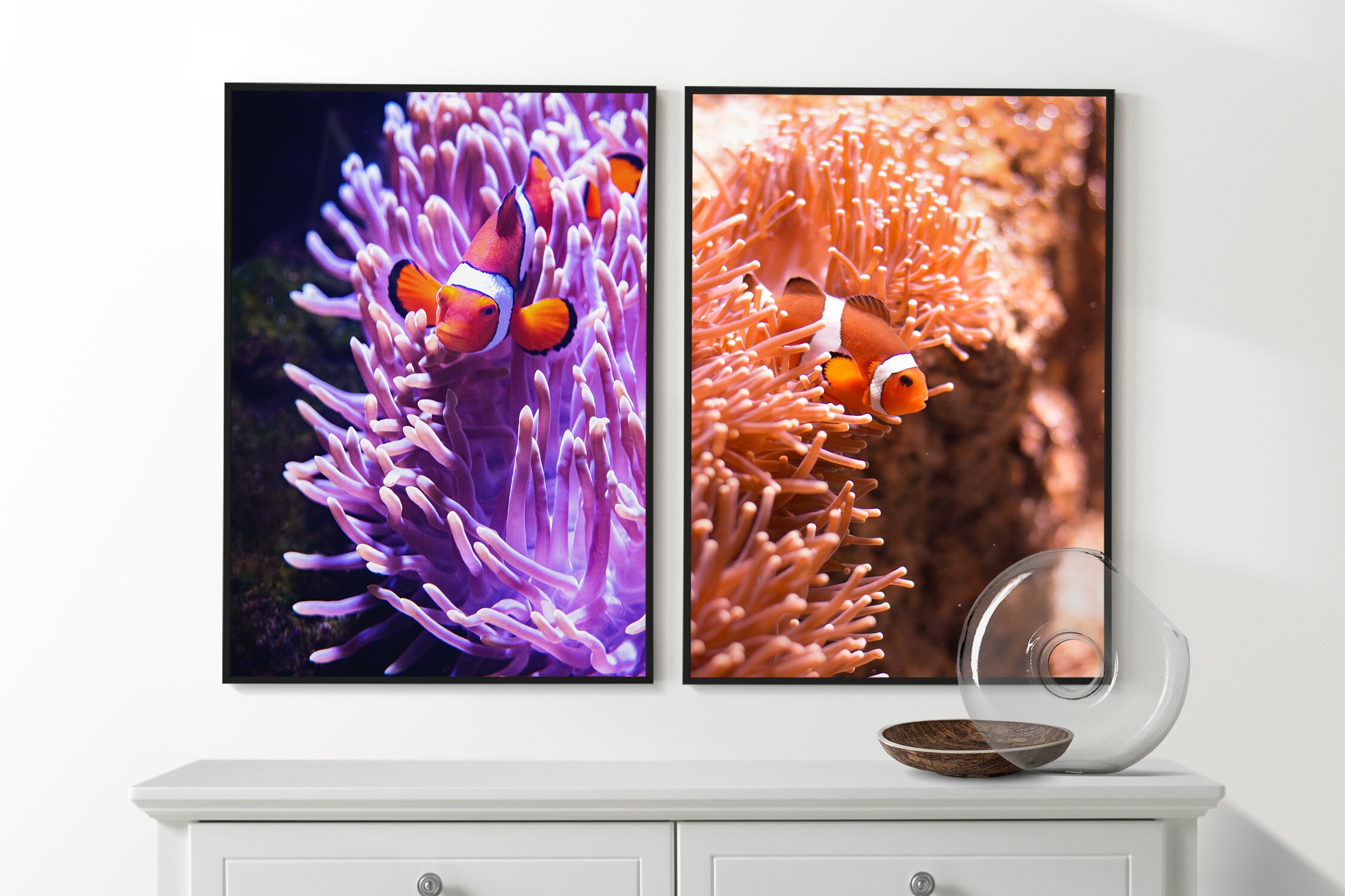 Clown Anemonefish Set of 2 Posters, Clown Fish Photo, Clown Fish Prints ...