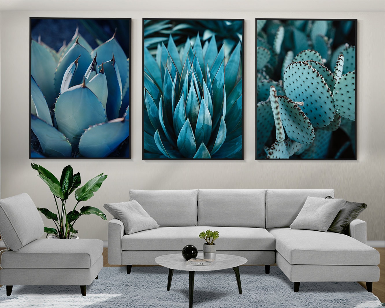 Cactus Set of 3 Posters, Cactus Photo, Modern Green Wall Decor, Cactus ...