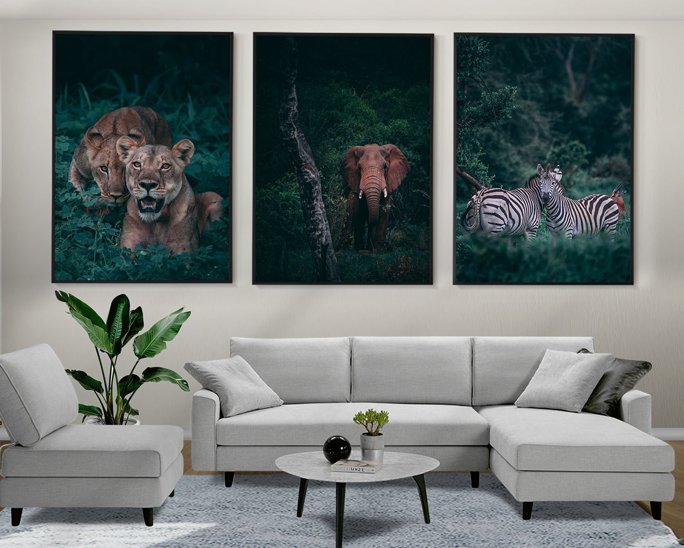 Wild Animals Set of 3 Posters, Lion, Elephant, Zebra Prints, Wild ...