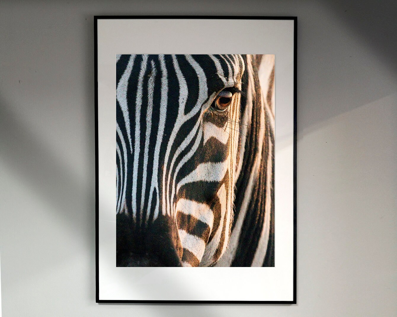 Zebra Set of 3 Posters, Zebras Photo, Zebra Prints, Animals Wall Art - Etsy