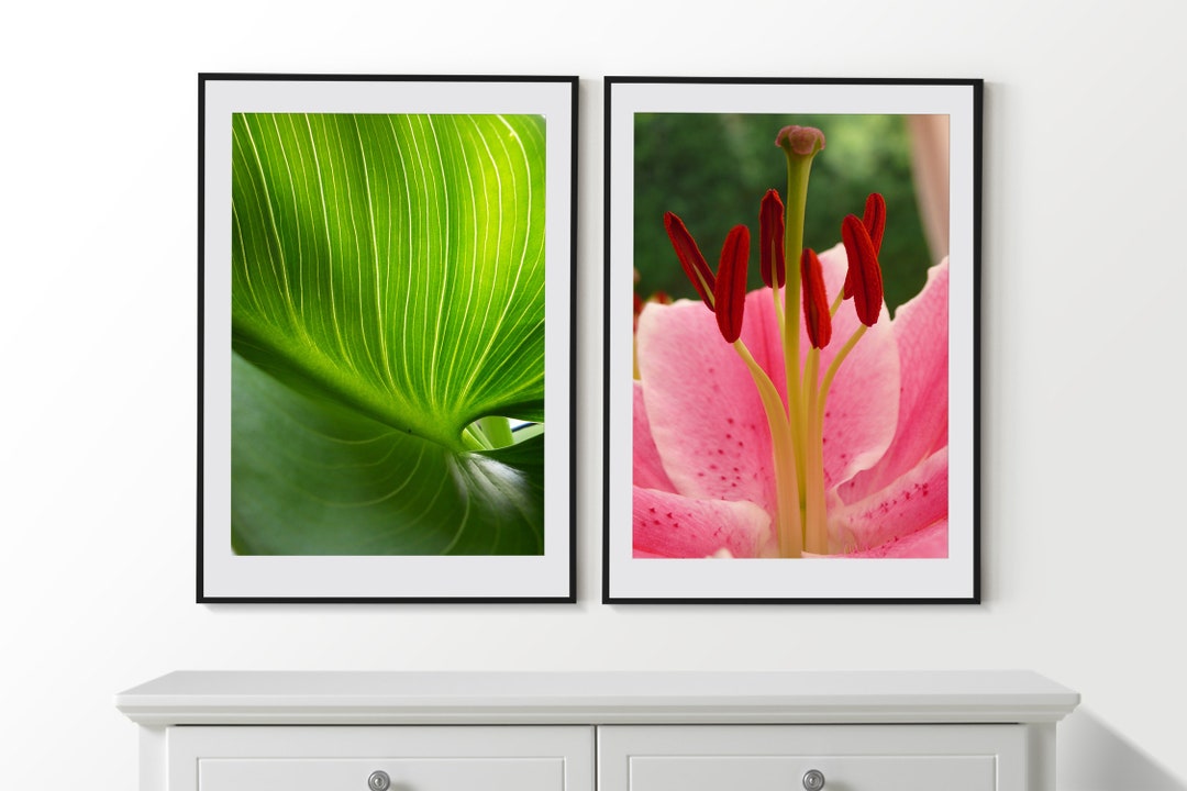 Lily Set of 2 Posters, Lily Flower Photo, Modern Floral Wall Decor ...