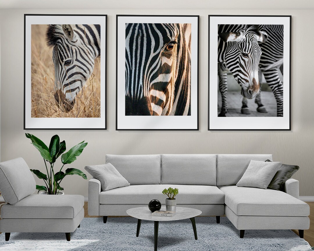 Zebra Set of 3 Posters, Zebras Photo, Zebra Prints, Animals Wall Art - Etsy