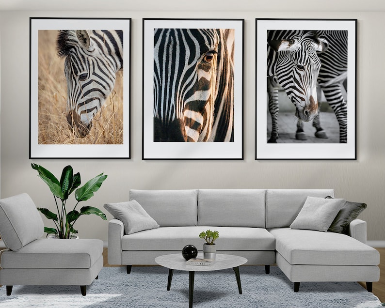 Zebra Set of 3 Posters, Zebras Photo, Zebra Prints, Animals Wall Art - Etsy