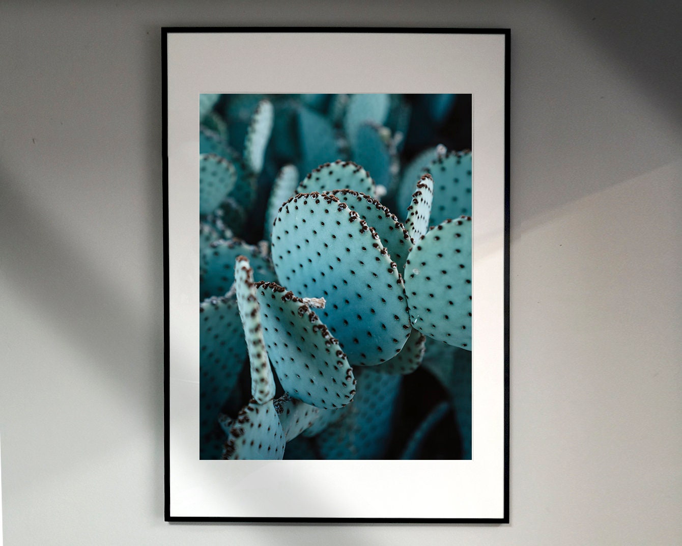 Cactus Set of 3 Posters, Cactus Photo, Modern Green Wall Decor, Cactus ...
