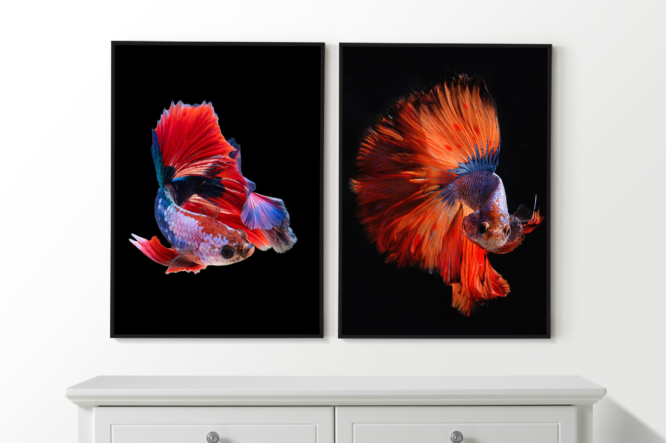 Betta Fish Set of 2 Posters, Siamese Fighting Fish Photo, Red Fish ...