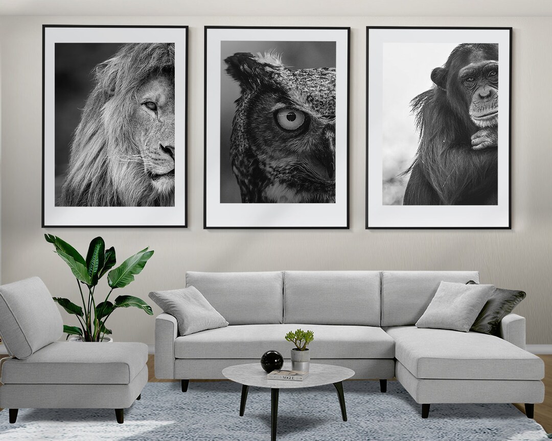 Animals Black and White Wall Art, Animals Set of 3 Posters, Lion ...