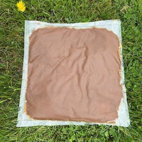 FIVE SPRING/SUMMER Mushroom Bee Patties Bee Food Beehive - Etsy