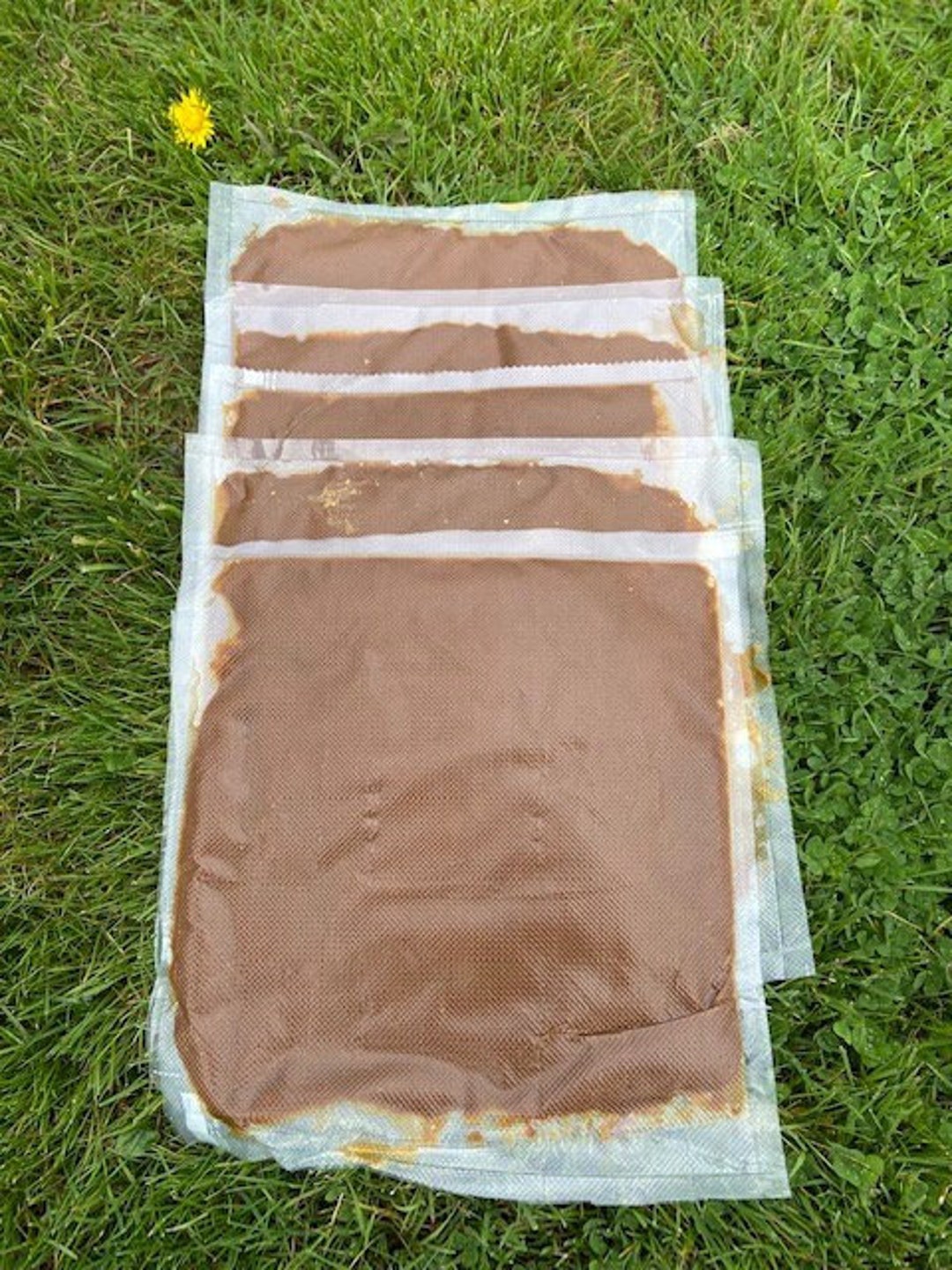 FIVE SPRING/SUMMER Mushroom Bee Patties Bee Food Beehive - Etsy