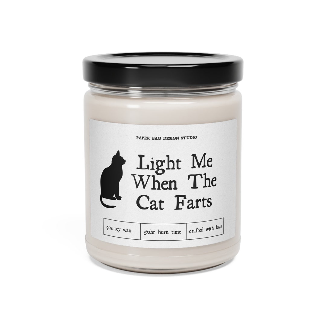 Light Me When the Cat Farts Candle, Pet Odor Candle, Gifts for Cat ...