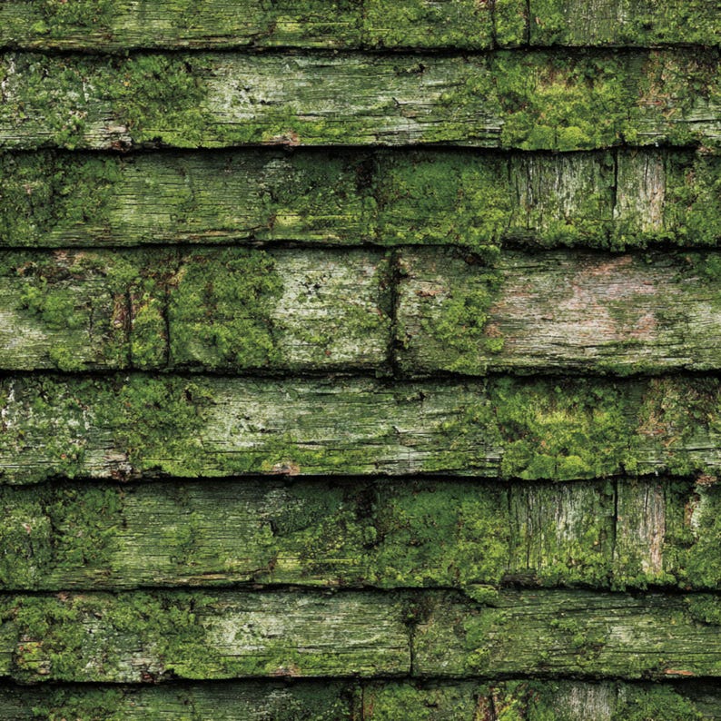 Mossy Barn Wood Digital Paper: Seamless Green Textures (10x10 Inch JPG ...