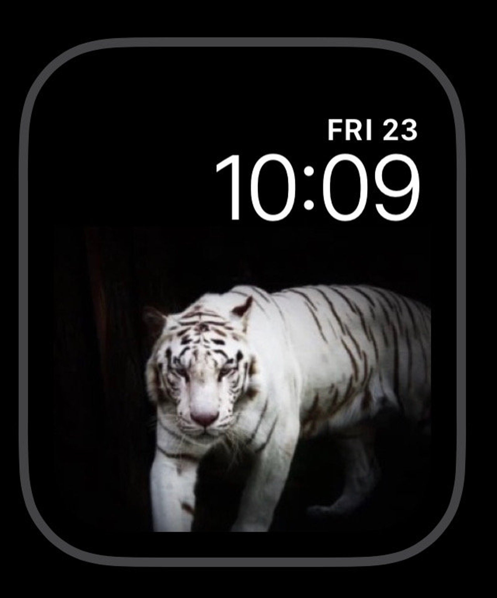 Apple Watch Wallpaper, Tiger Watch Wallpaper, Apple Watch Face, Set of ...