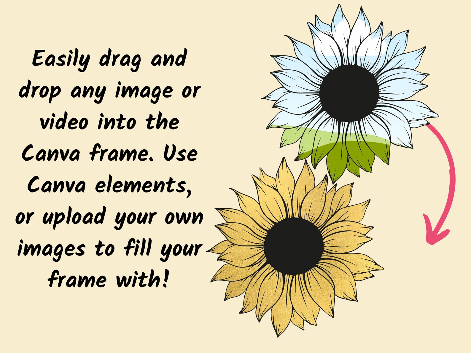 Sunflower Canva Frame, Drag and Drop Photo Canva Template, Create Your ...