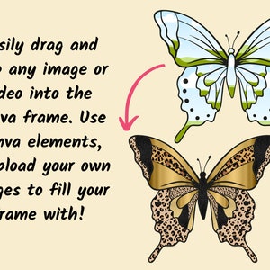 CANVA Template Frame, Create Your Own Butterfly PNG, Fully Editable ...