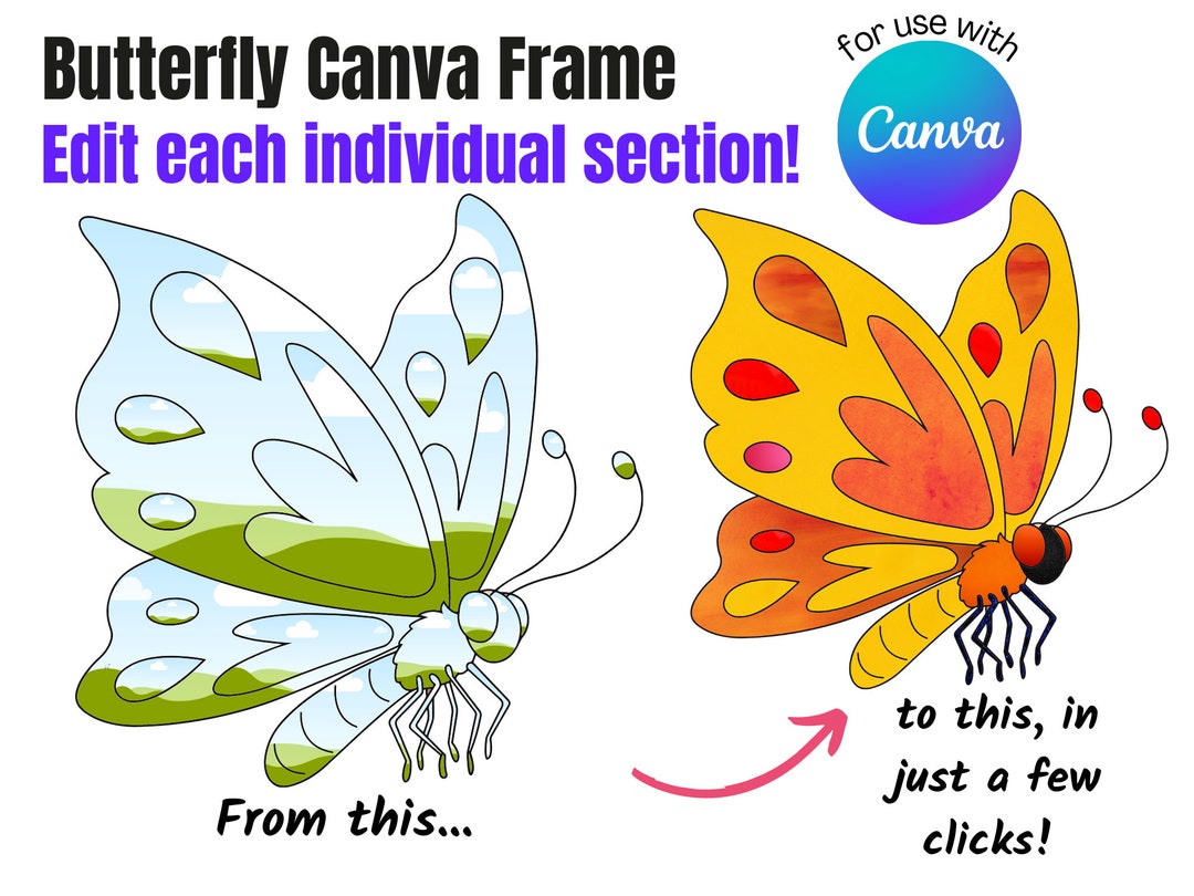 Custom Butterfly Canva Frames | Create Your Own Butterfly Png | Fill ...
