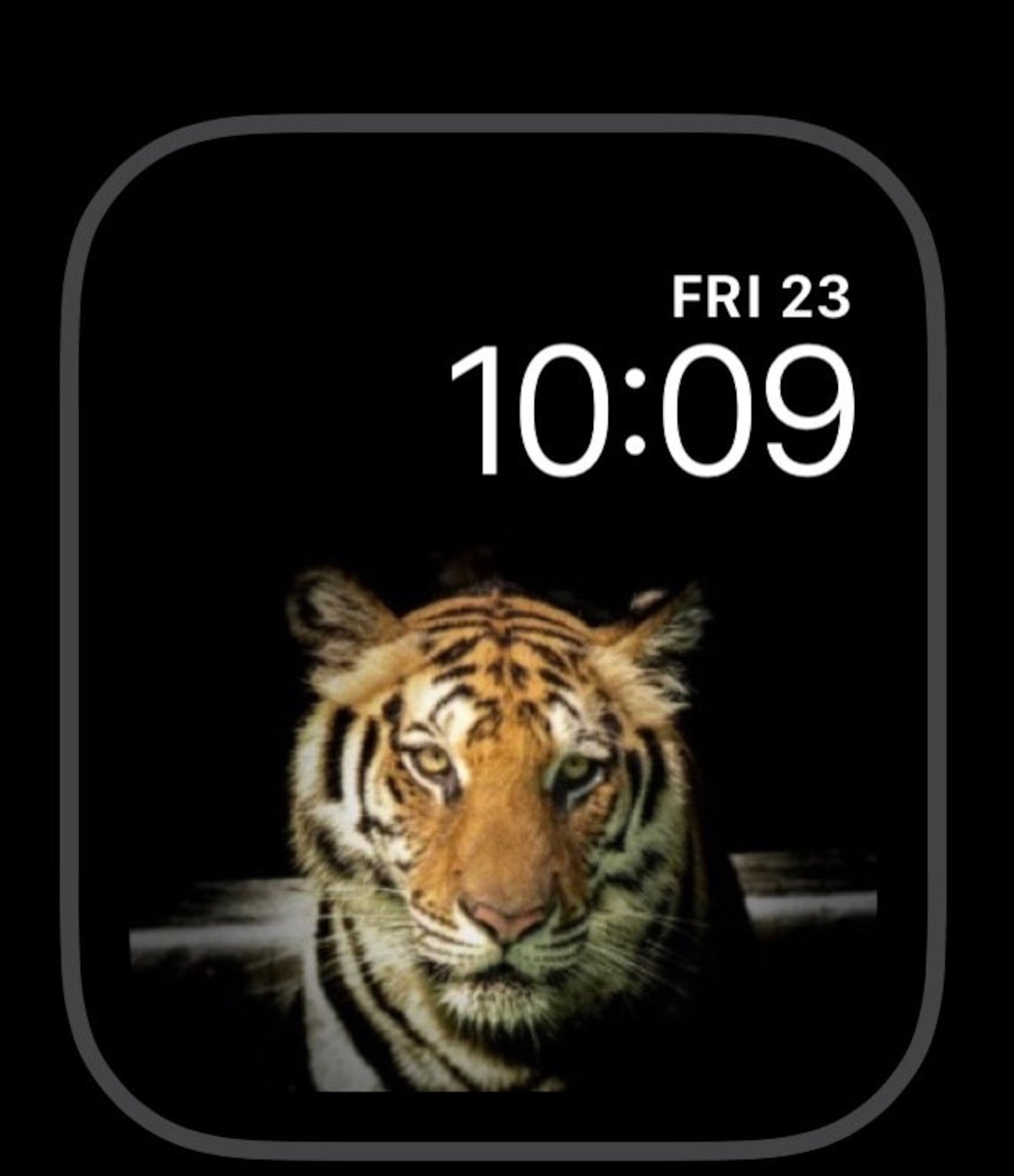 Apple Watch Wallpaper, Tiger Watch Wallpaper, Apple Watch Face, Set of ...