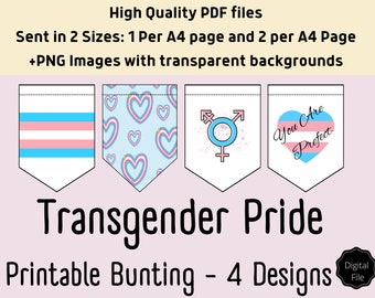 Transgender Pride Party Decorations - Etsy