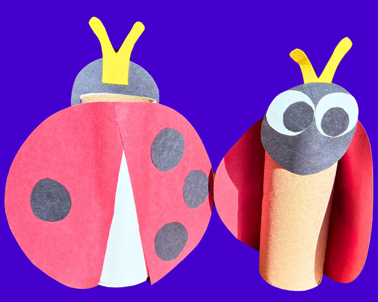 Ladybug Craft Template, Ladybug Tissue Roll Craft, Crafts for Kids ...