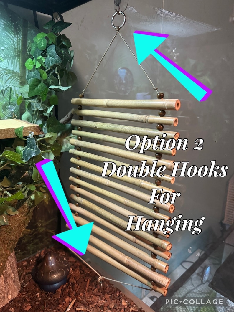 Natural Bamboo Hangout Reptile Privacy Wall & Ladder - Multiple Sizes ...