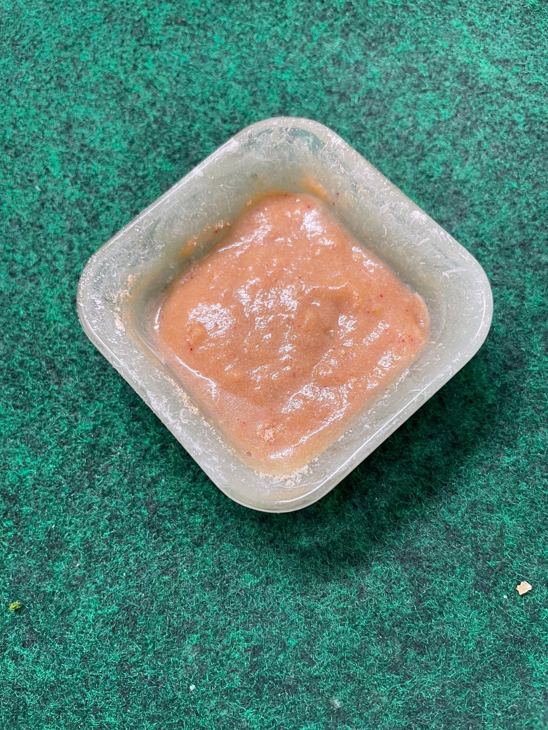 Crested Gecko Feeding Dish square Custom Colors dishwasher Safe - Etsy