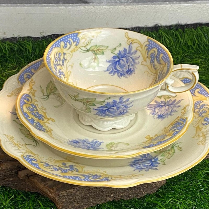 Seltmann weiden sammeltasse - Etsy.de