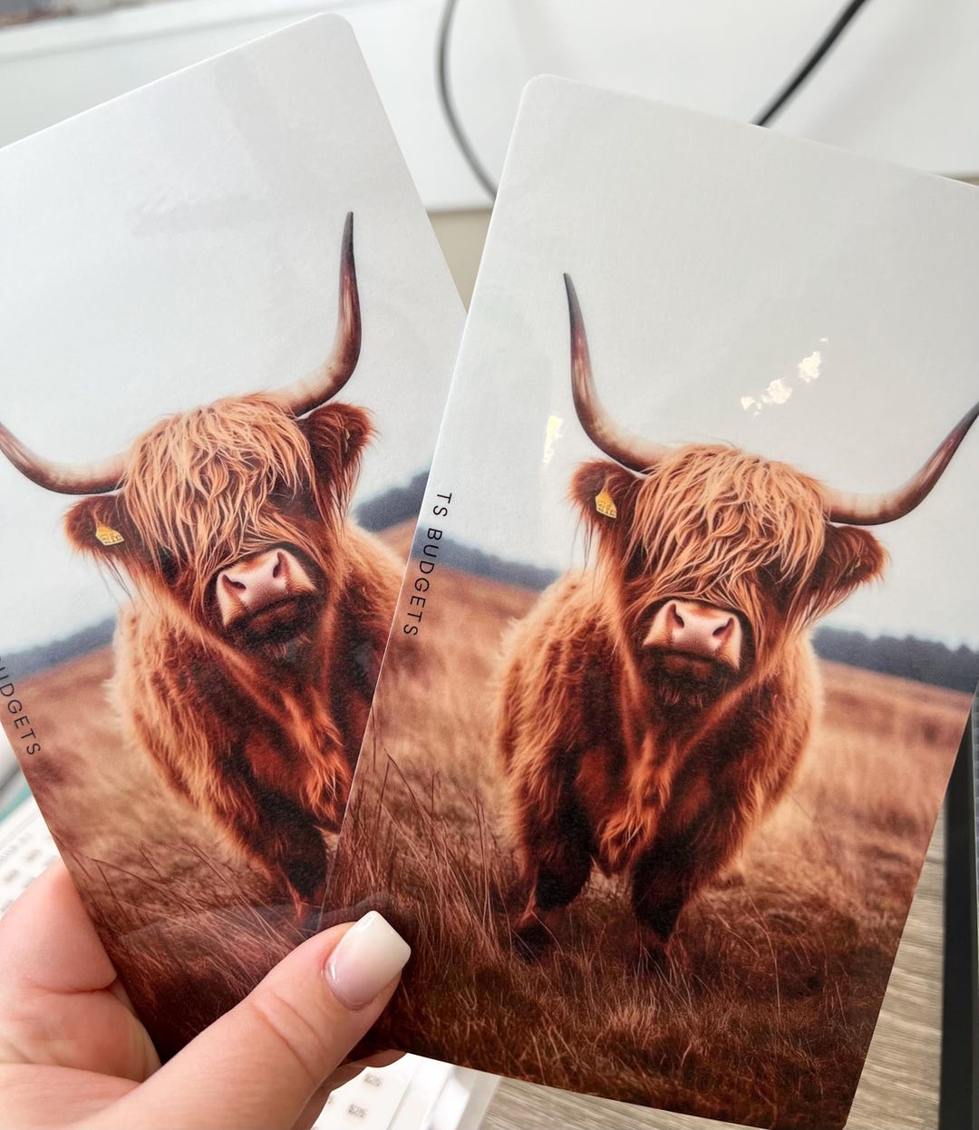 Highland Cow Dashboard 1 Dashboard Only - Etsy