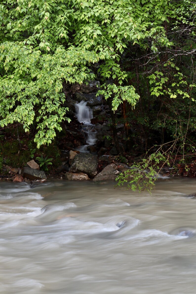 Nature Photography, Art Print, Mountainside Waterfall and Stream ...