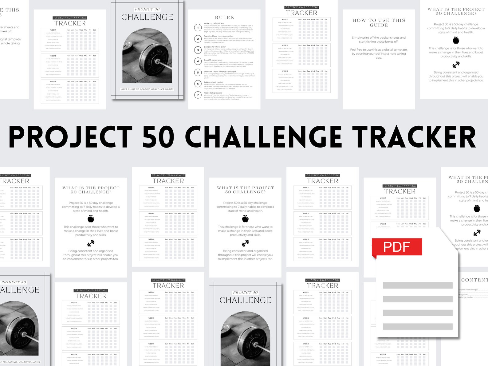 Project 50 Challenge Tracker Printable Project 50 Tracker Challenge ...