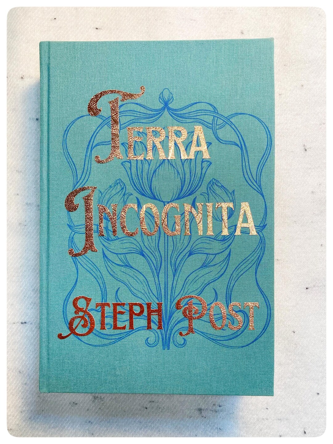 Terra Incognita by Steph Post, Limited Edition Book Box, Includes: Hand ...