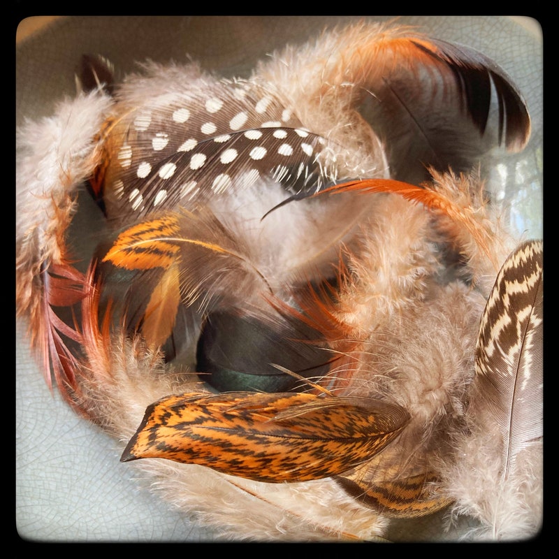 Rooster Feather - Etsy