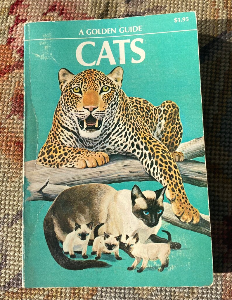 Vintage “A Golden Guide” Books - Etsy